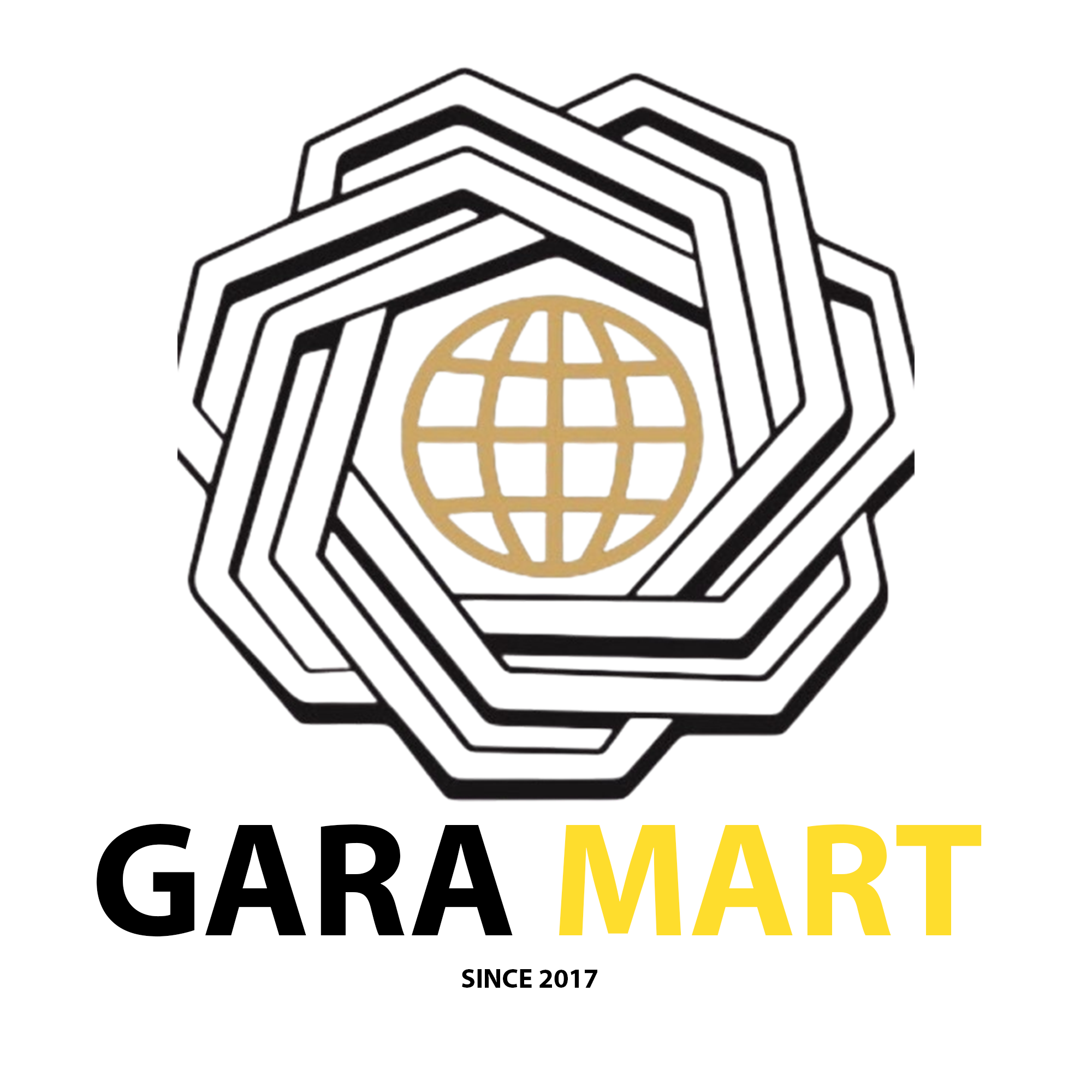 Scitech Valley | Top Software Development Company in Ethiopia